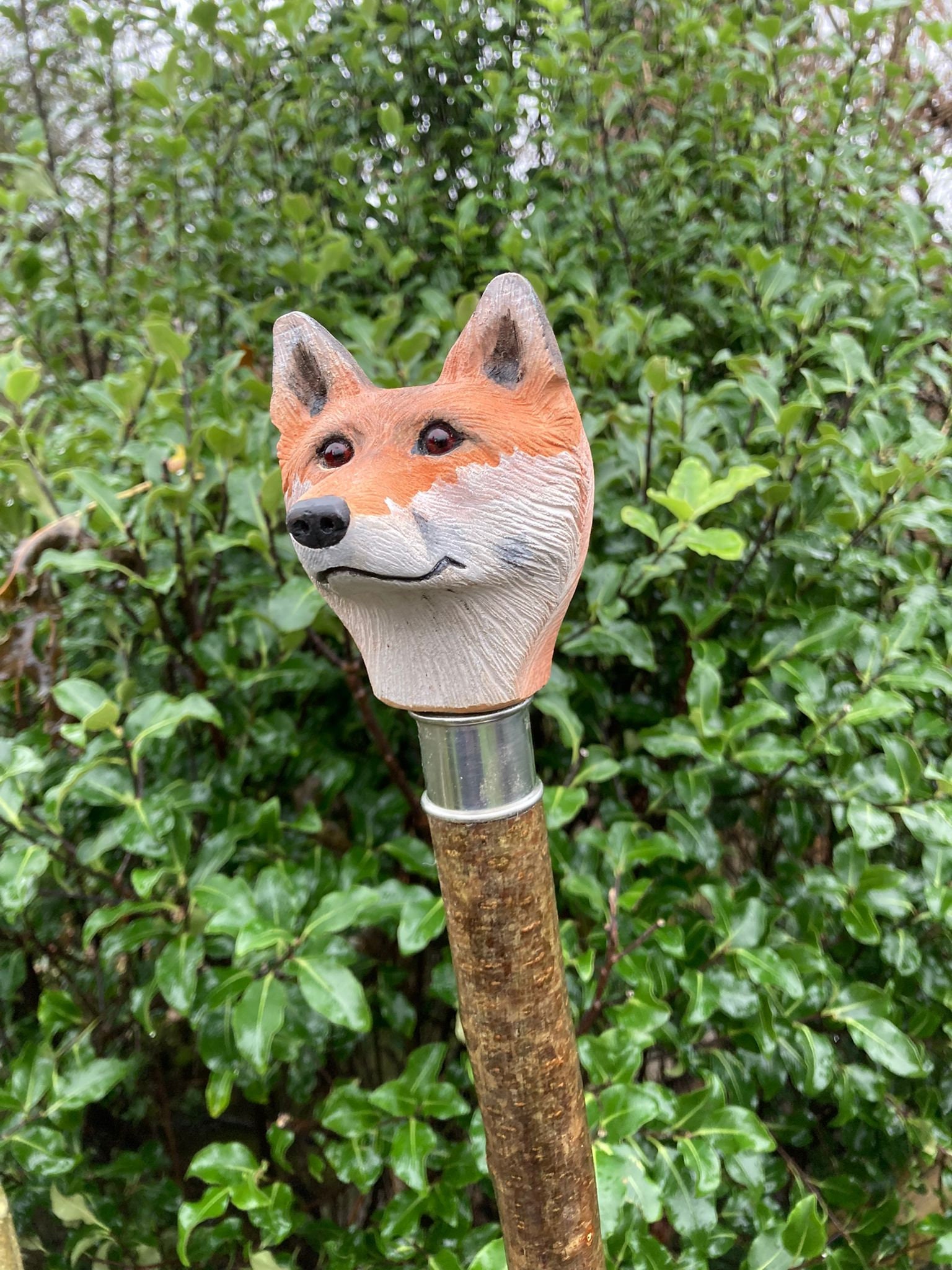 Hand Carved in Lime Fox Head Country Walking Stick on Hazel Shank - Etsy