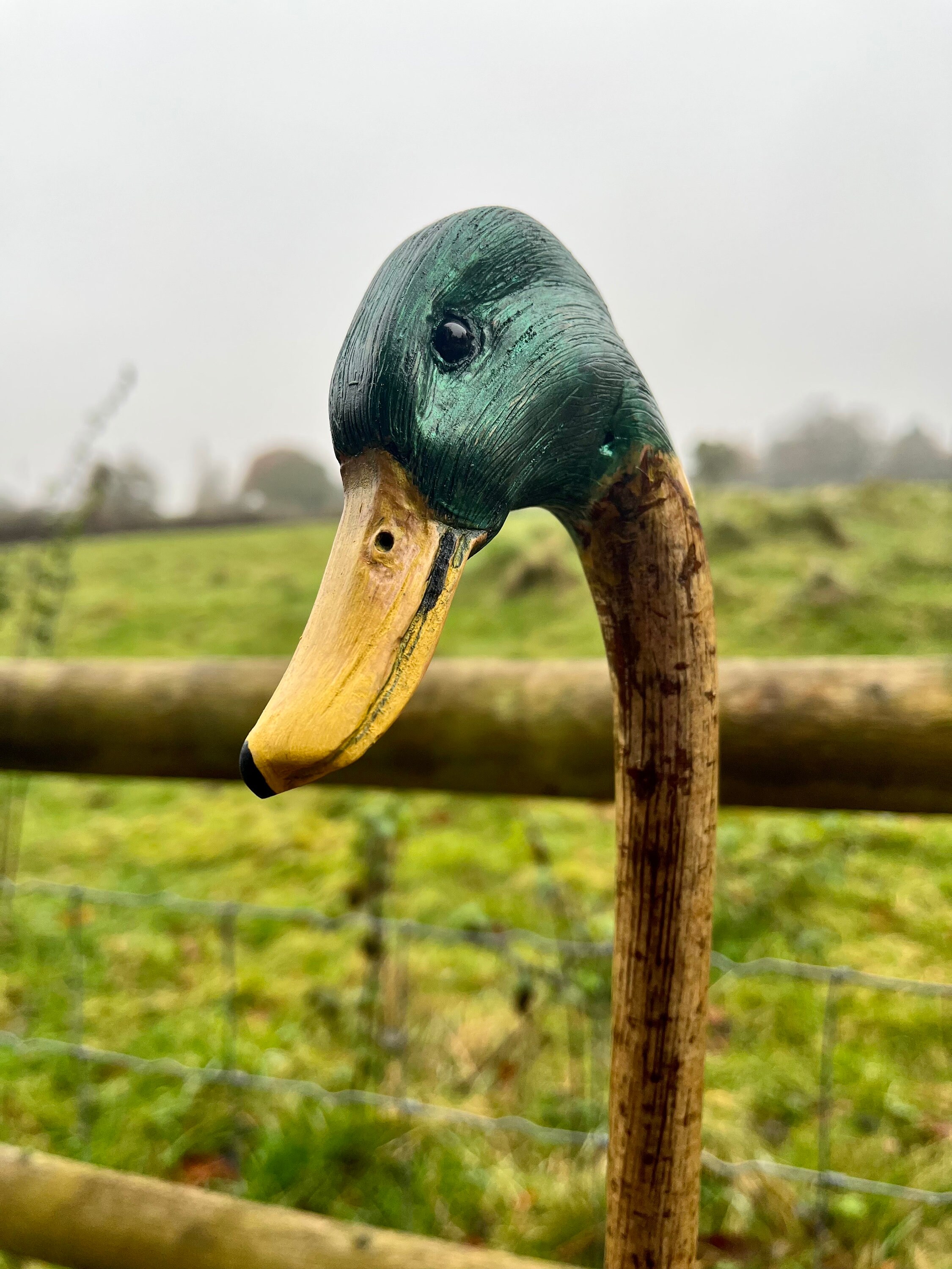 One Piece Duck Head, Hand Carved in Hazel Country Walking Stick - Etsy UK