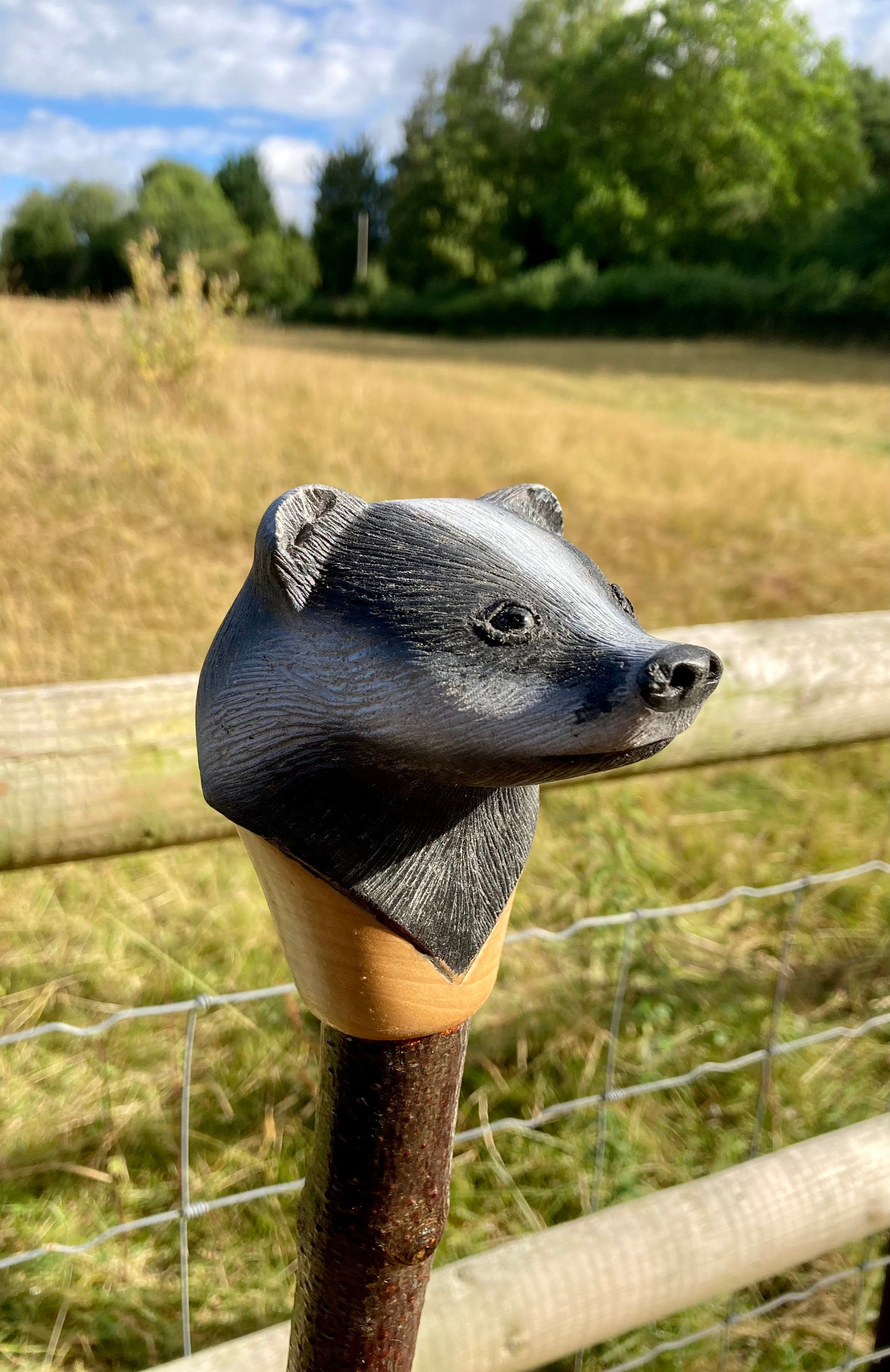 Hand Carved in Lime Badger Head Country Walking Stick on Hazel Shank - Etsy