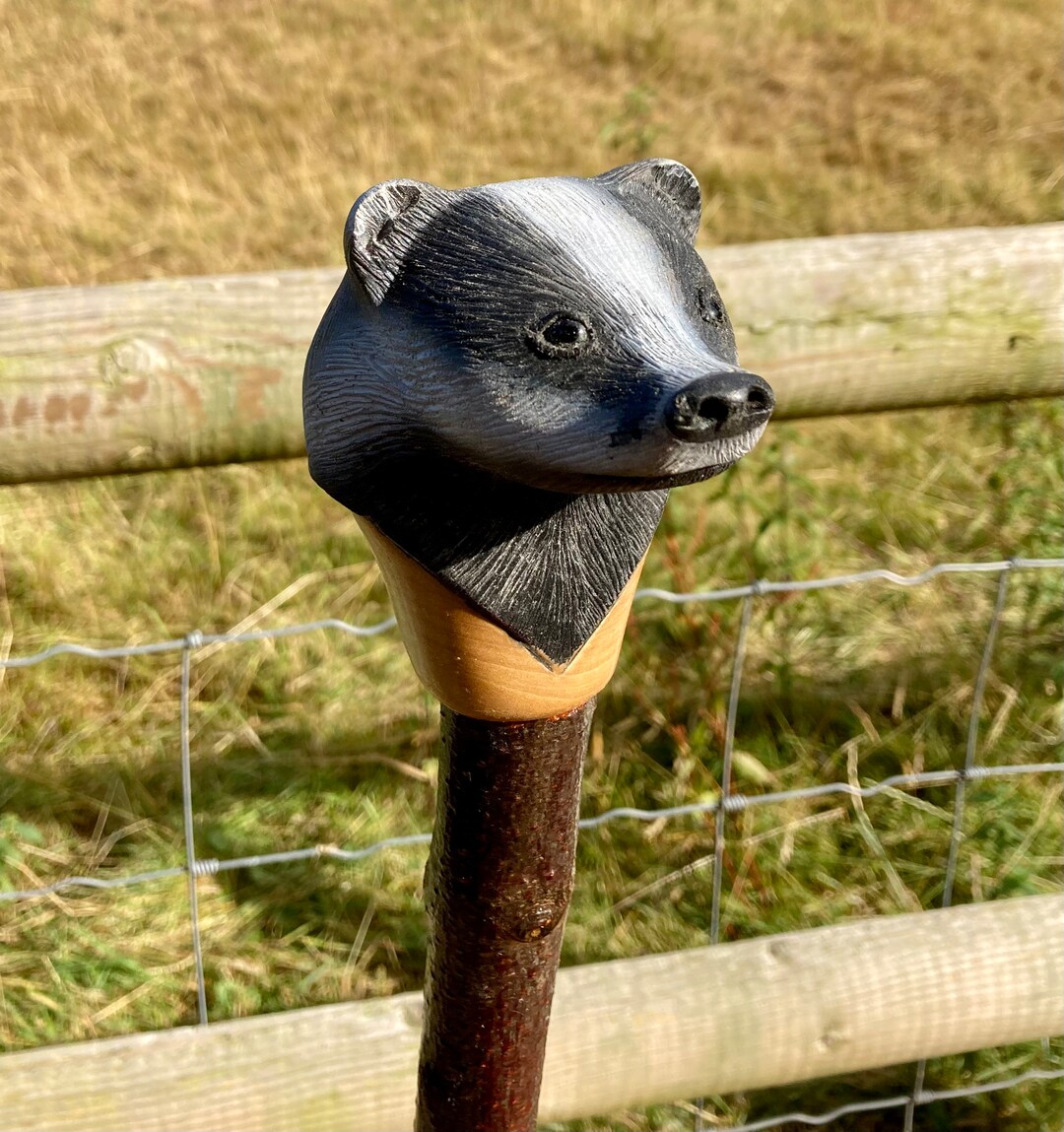 Hand Carved in Lime Badger Head Country Walking Stick on Hazel Shank - Etsy