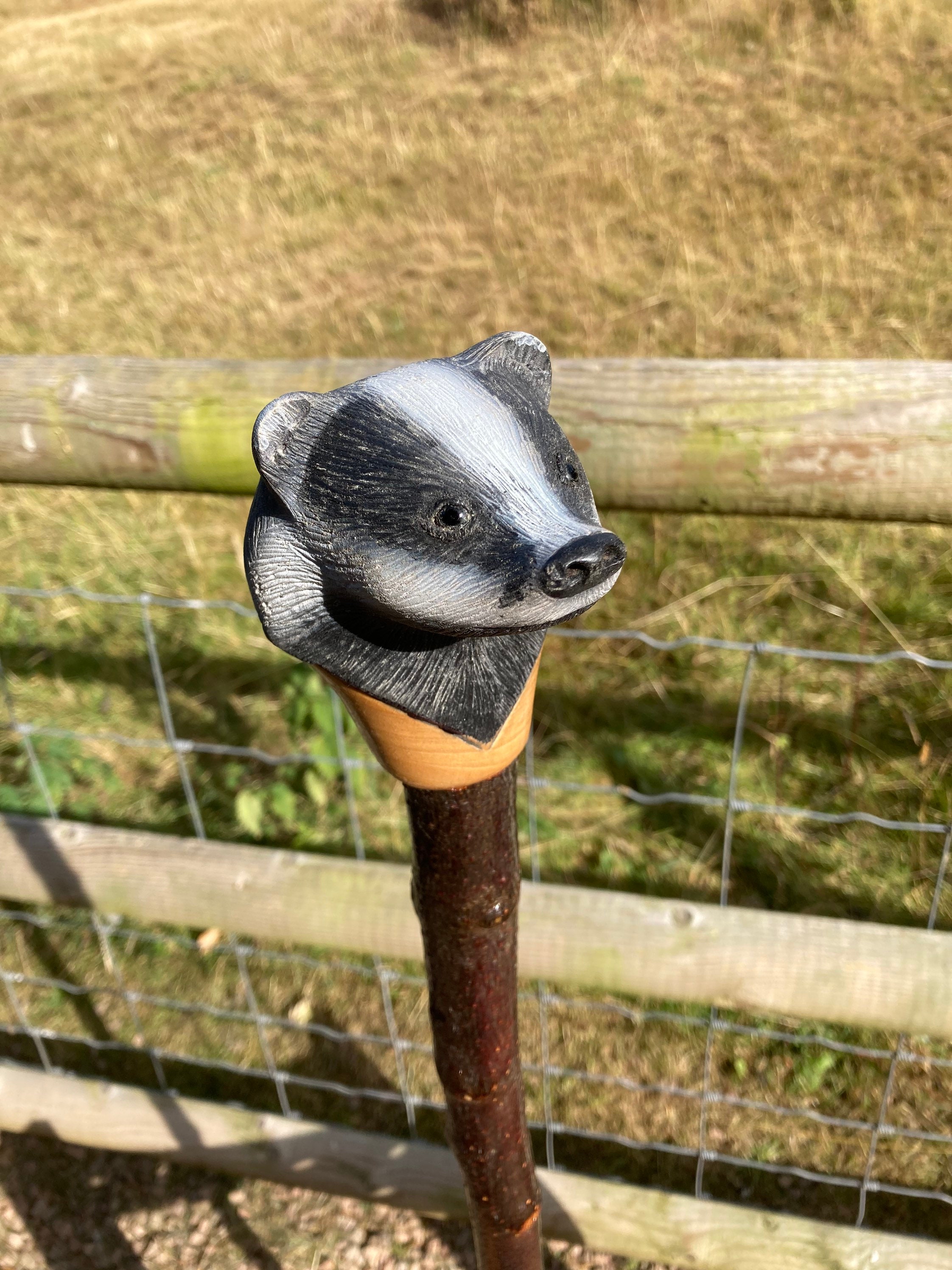 Hand Carved in Lime Badger Head Country Walking Stick on Hazel Shank - Etsy