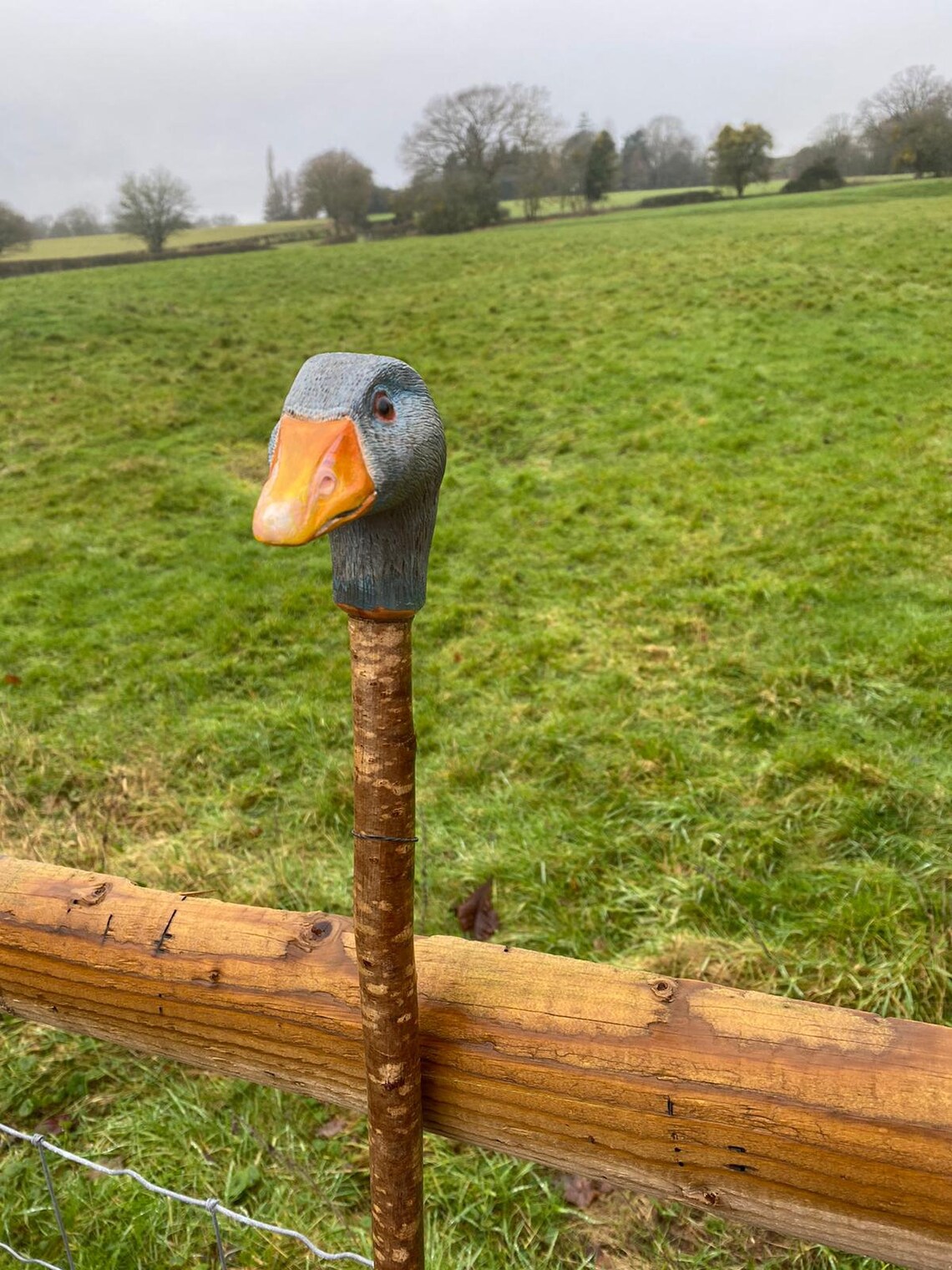 Hand Carved in Lime Greylag Goose Head Country Walking Stick on Hazel ...