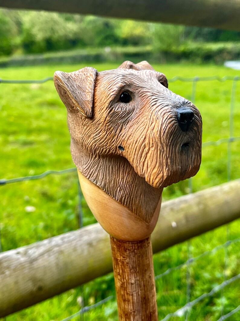 Hand Carved in Lime Airdale Head Country Walking Stick on Hazel Shank ...