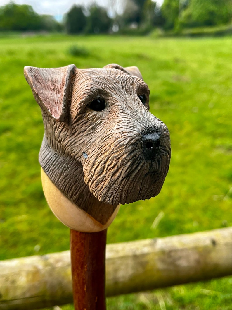 Hand Carved in Lime Airdale Head Country Walking Stick on Hazel Shank ...