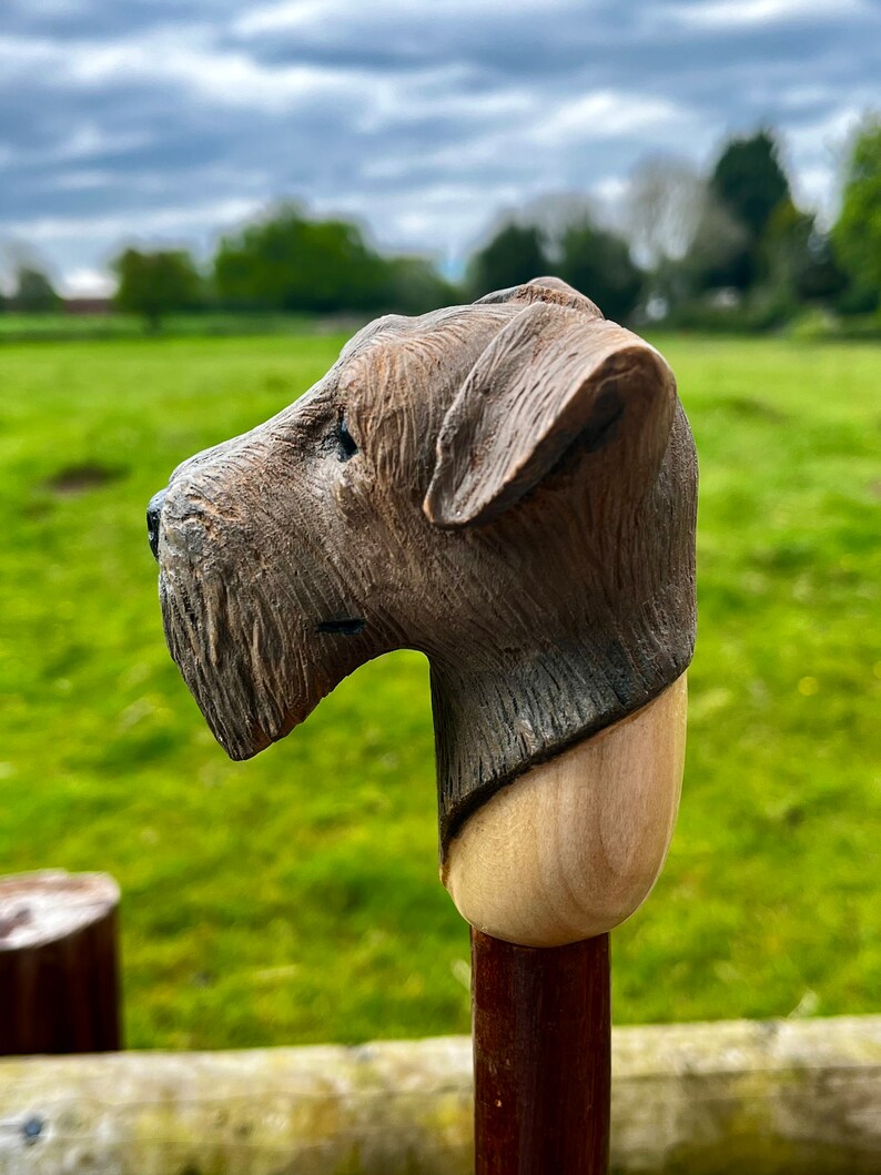 Hand Carved in Lime Airdale Head Country Walking Stick on Hazel Shank ...