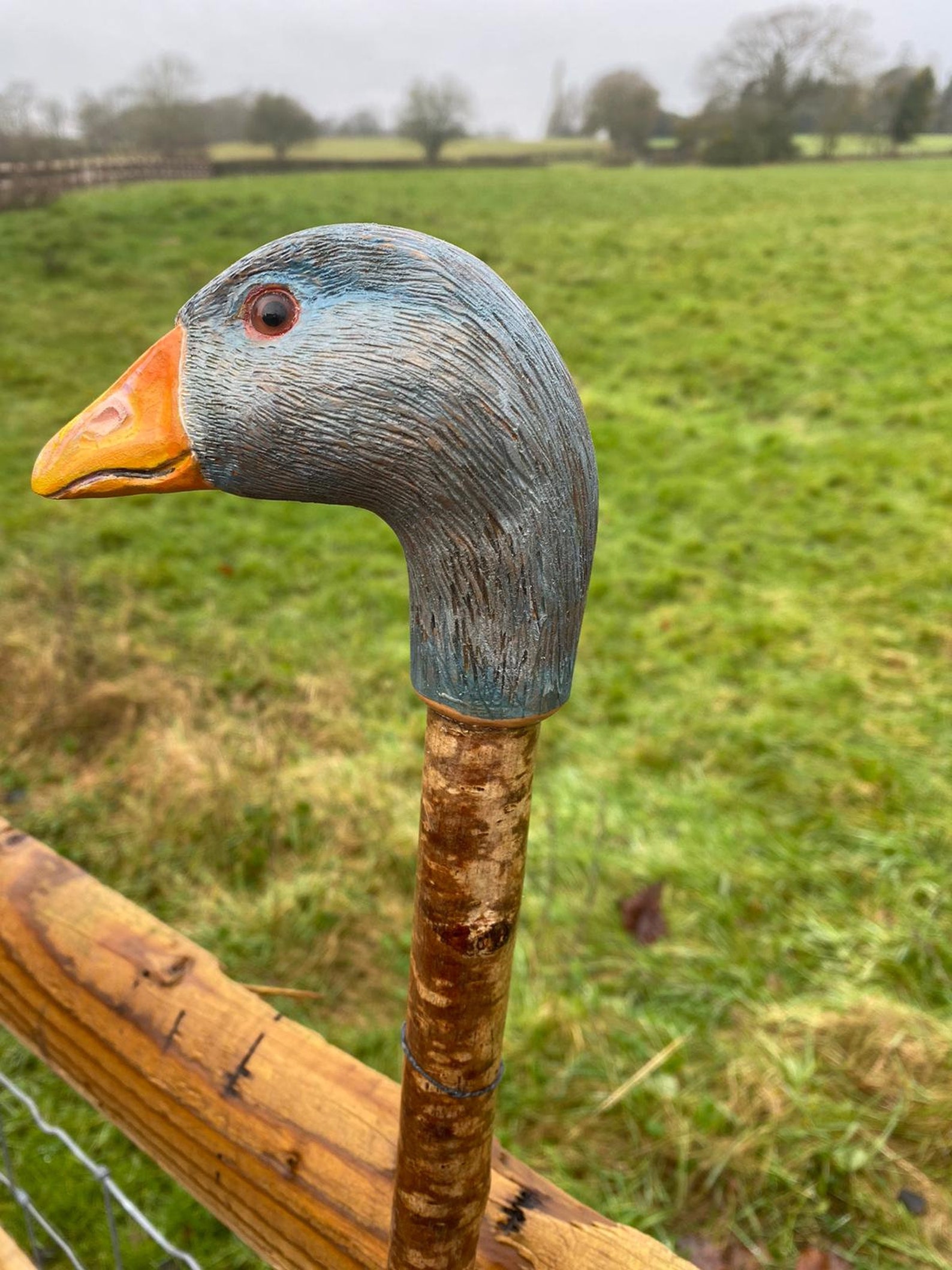 Hand Carved in Lime Greylag Goose Head Country Walking Stick on Hazel ...