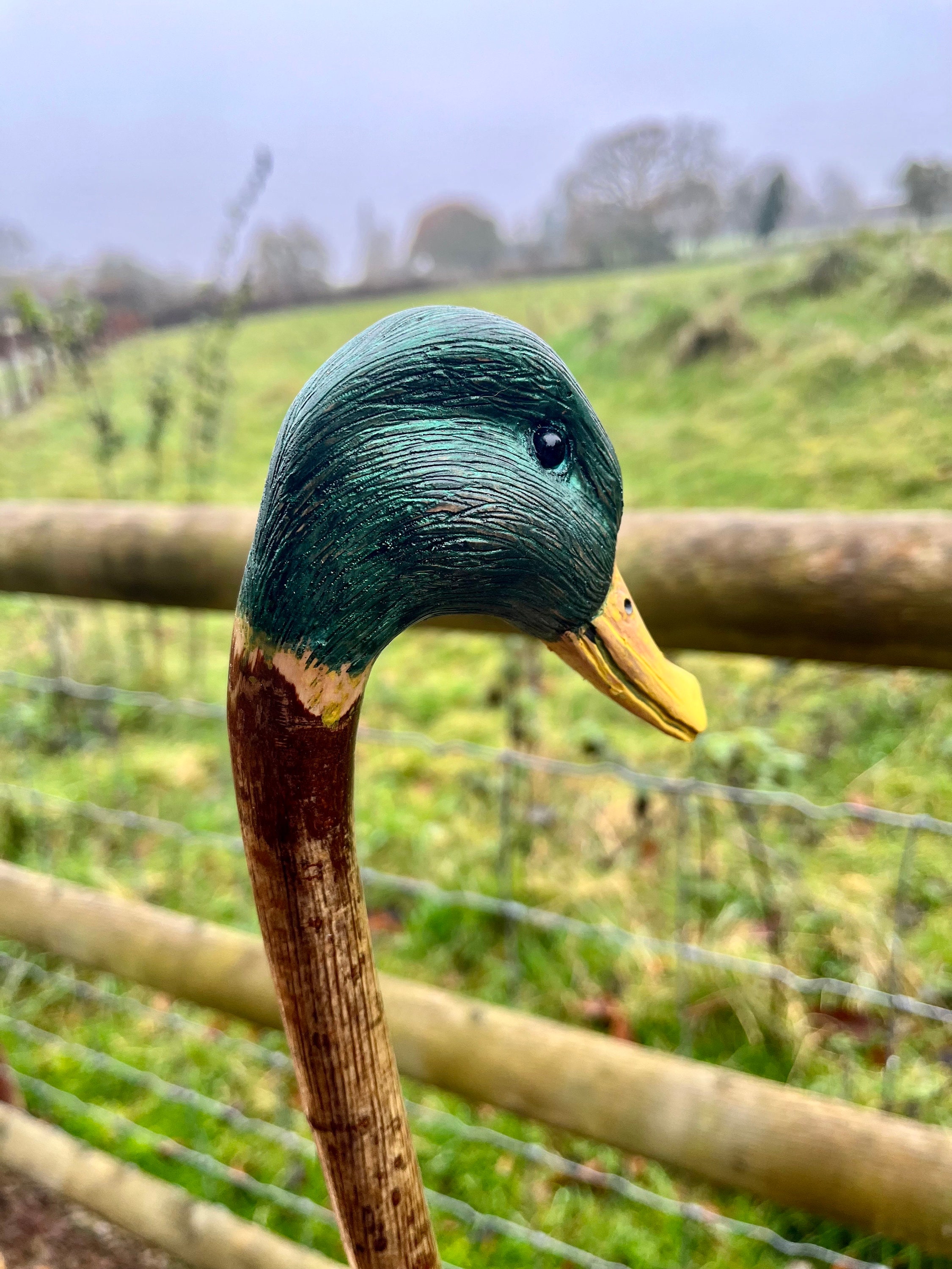 One Piece Duck Head, Hand Carved in Hazel Country Walking Stick - Etsy UK