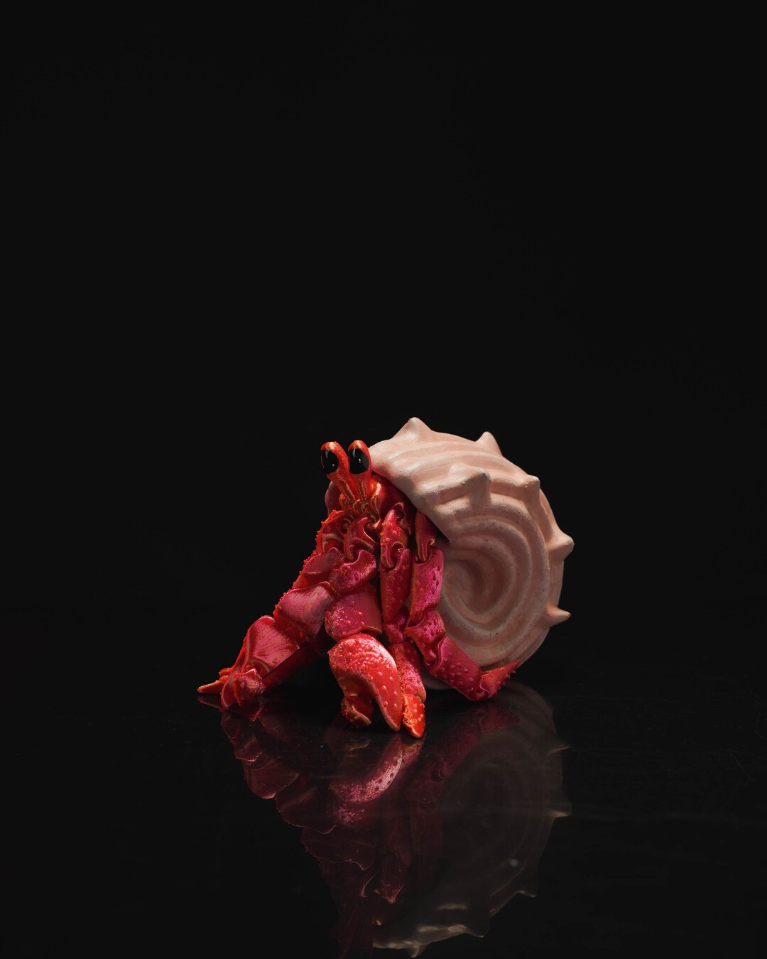 Hermie the Hermit Crab Fidget Toy With 3D Printed Removable Shell - Etsy