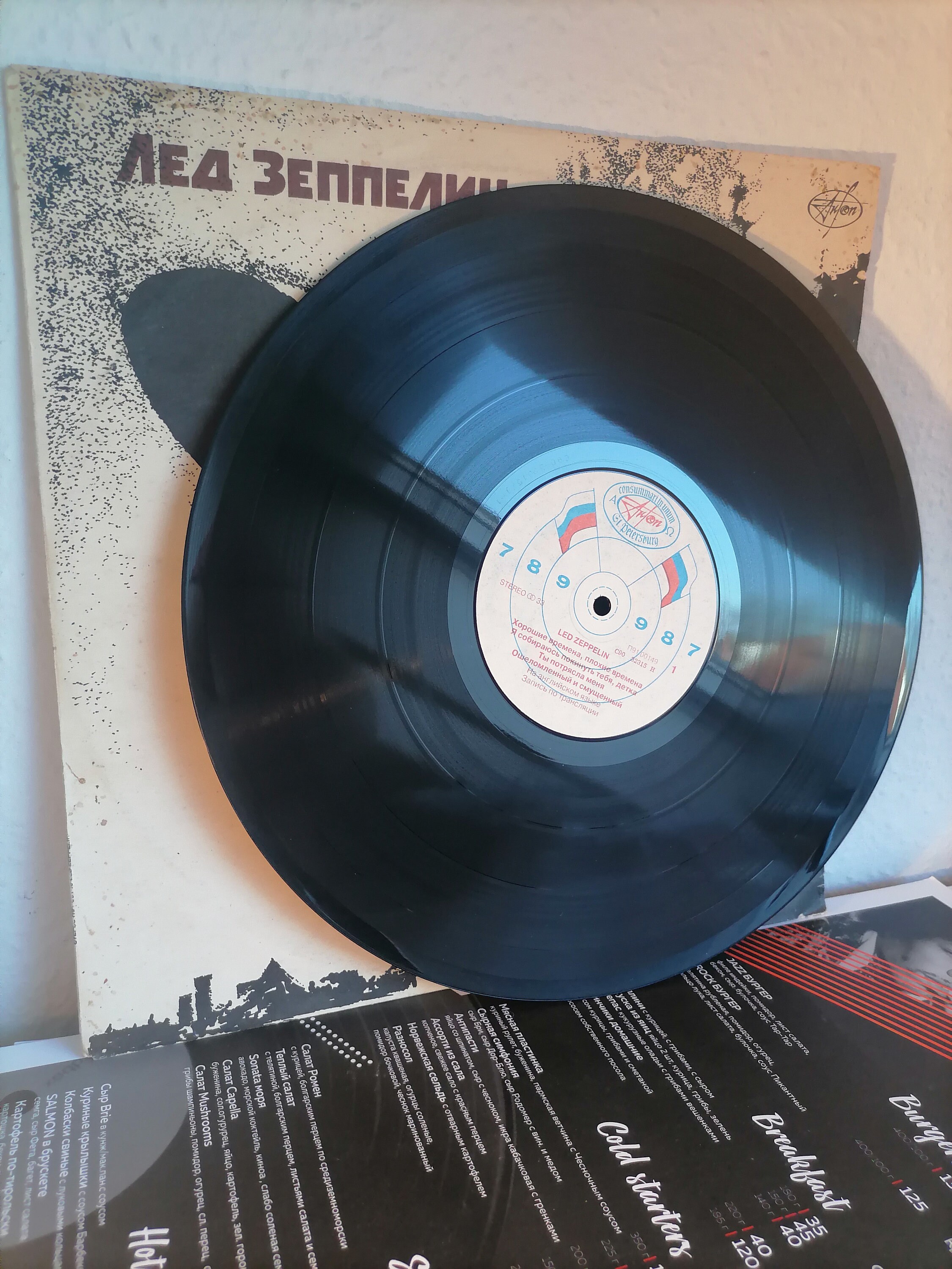 Led Zeppelin Vinyl Record Jimmy Page Robert Plant Vinyl LP Record ...