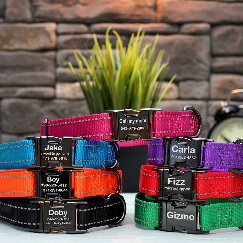 Custom Dog Collars - Etsy