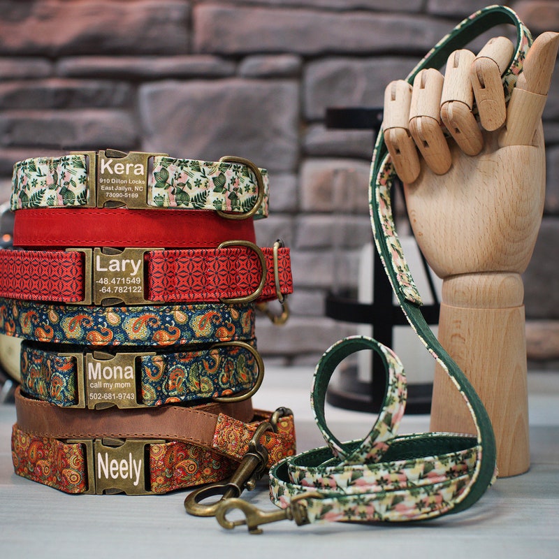 Dog Collar and Leash Set - Etsy