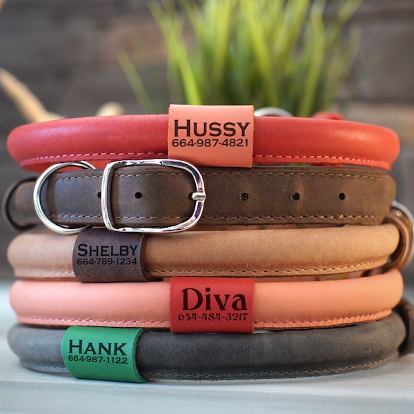 Personalised Dog Collars - Etsy UK