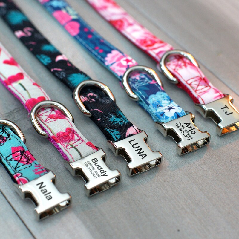 Custom Cat Collar - Etsy