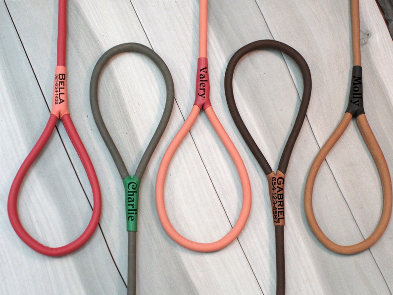 Personalized Dog Leash, Rolled Leather Dog Leash for Boy & Girl, Custom ...