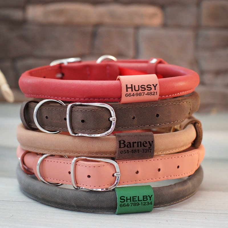 Custom Dog Collars - Etsy