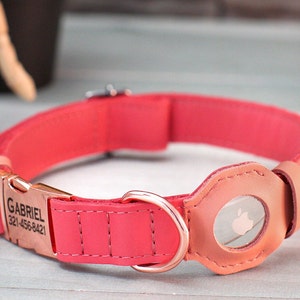 Custom Leather Dog Collar With AirTag Holder, Personalized Air Tag Dog ...