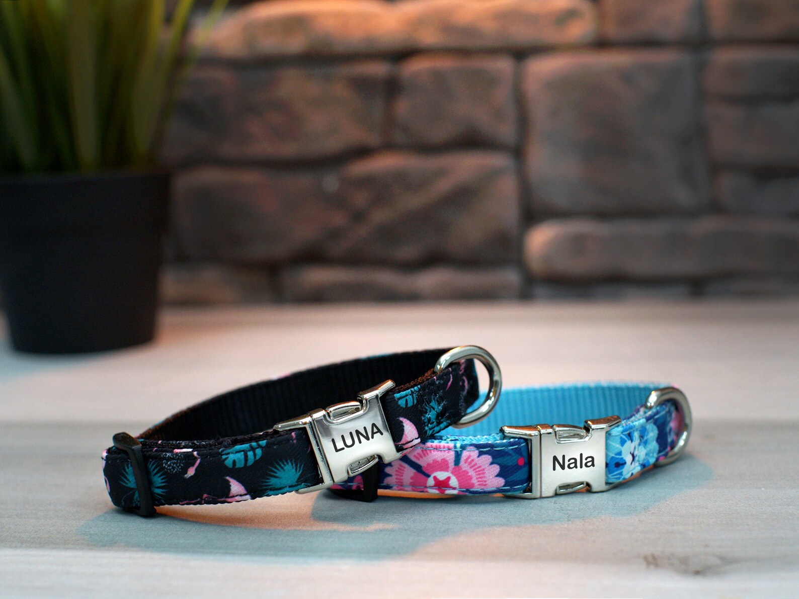 Floral Cat Collar with Engraved Buckle Customized Cat Collar | Etsy