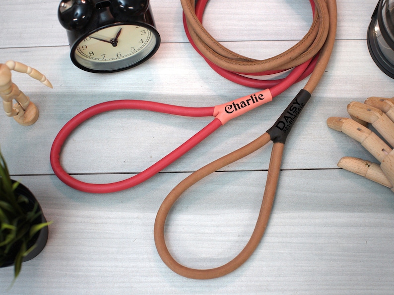 Personalized Dog Leash, Rolled Leather Dog Leash for Boy & Girl, Custom ...