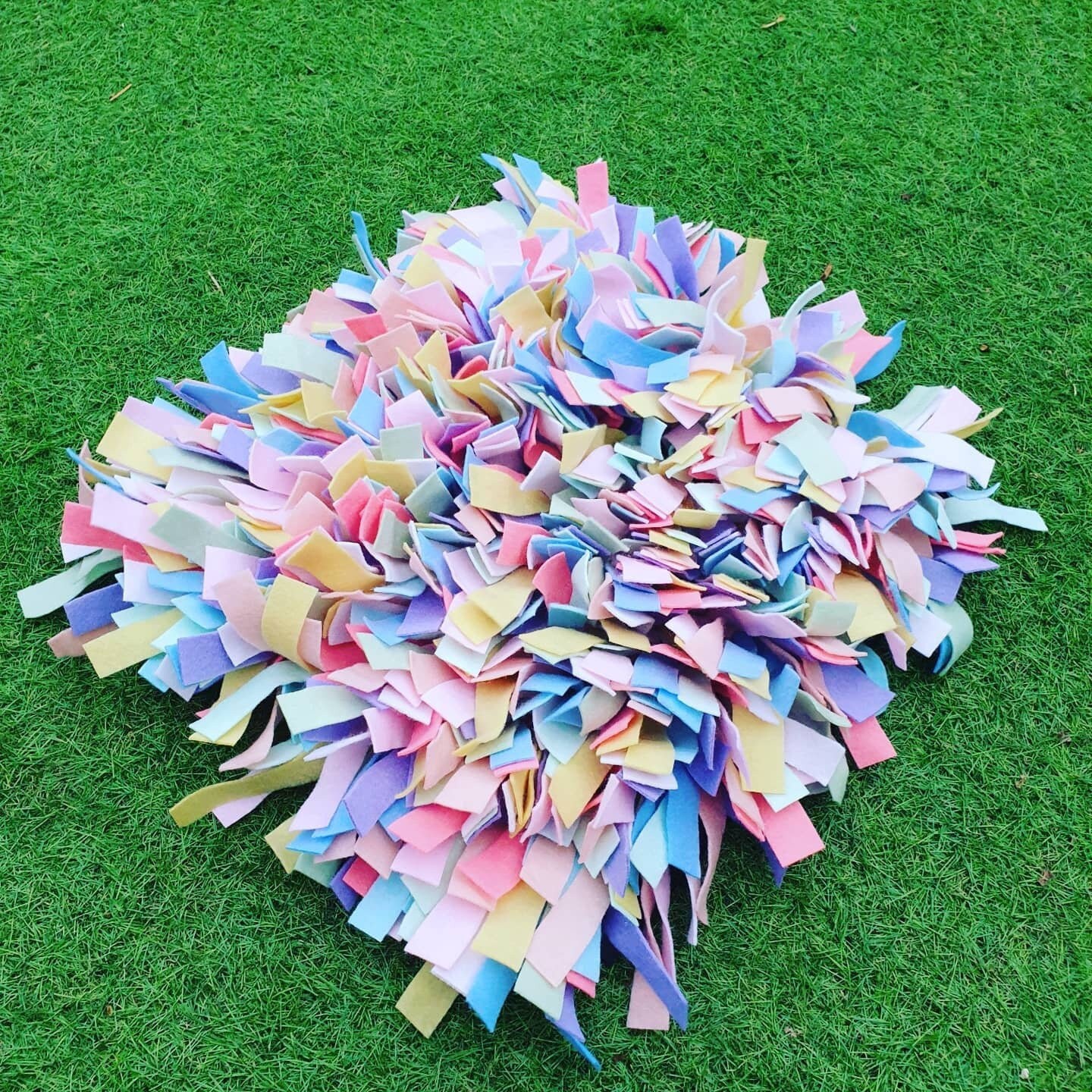 Spring Enrichment Snuffle Mat for Dogs Cats Rats Hamsters | Etsy