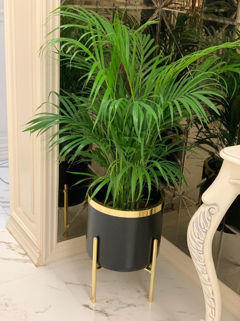 Luxury Flower Pot Luxury Planter Decorative Flower Pot | Etsy