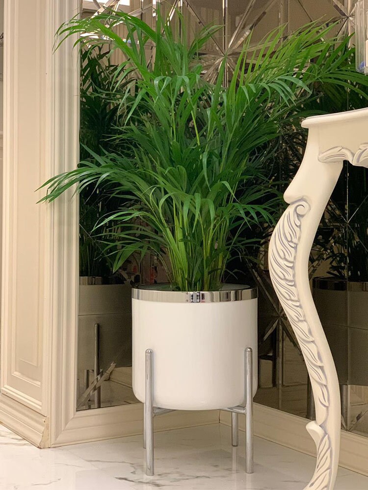 Luxury Flower Pot, Luxury Planter, Decorative Flower Pot, Decorative ...