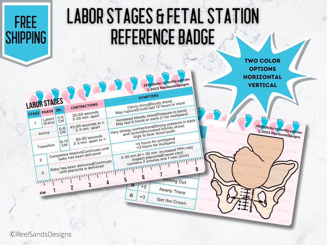 Labor Stages Fetal Station Badge Buddy Card: Nursing OB Reference ...