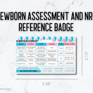 Labor and Delivery Badge Buddy Bundle | Postpartum Nursery Registered ...