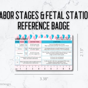 Labor Stages Fetal Station Quick Reference Badge Buddy Card - Nursing ...