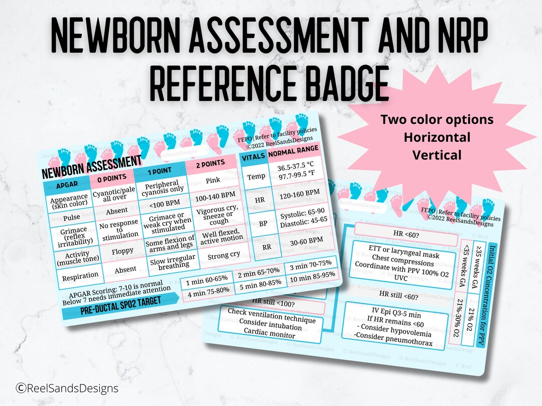 Newborn Assessment NRP Quick Reference Badge Buddy Card - Nursing - Id ...