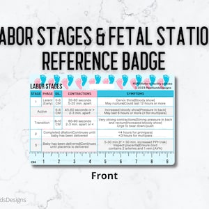 Labor Stages Fetal Station Badge Buddy Card: Nursing OB Reference ...