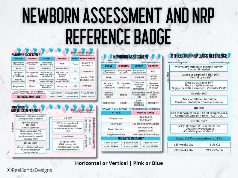 Newborn Assessment NRP Quick Reference Badge Buddy Card - Nursing - Id ...
