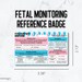Fetal Monitoring EFM Quick Reference Badge Buddy Card - Decels ...