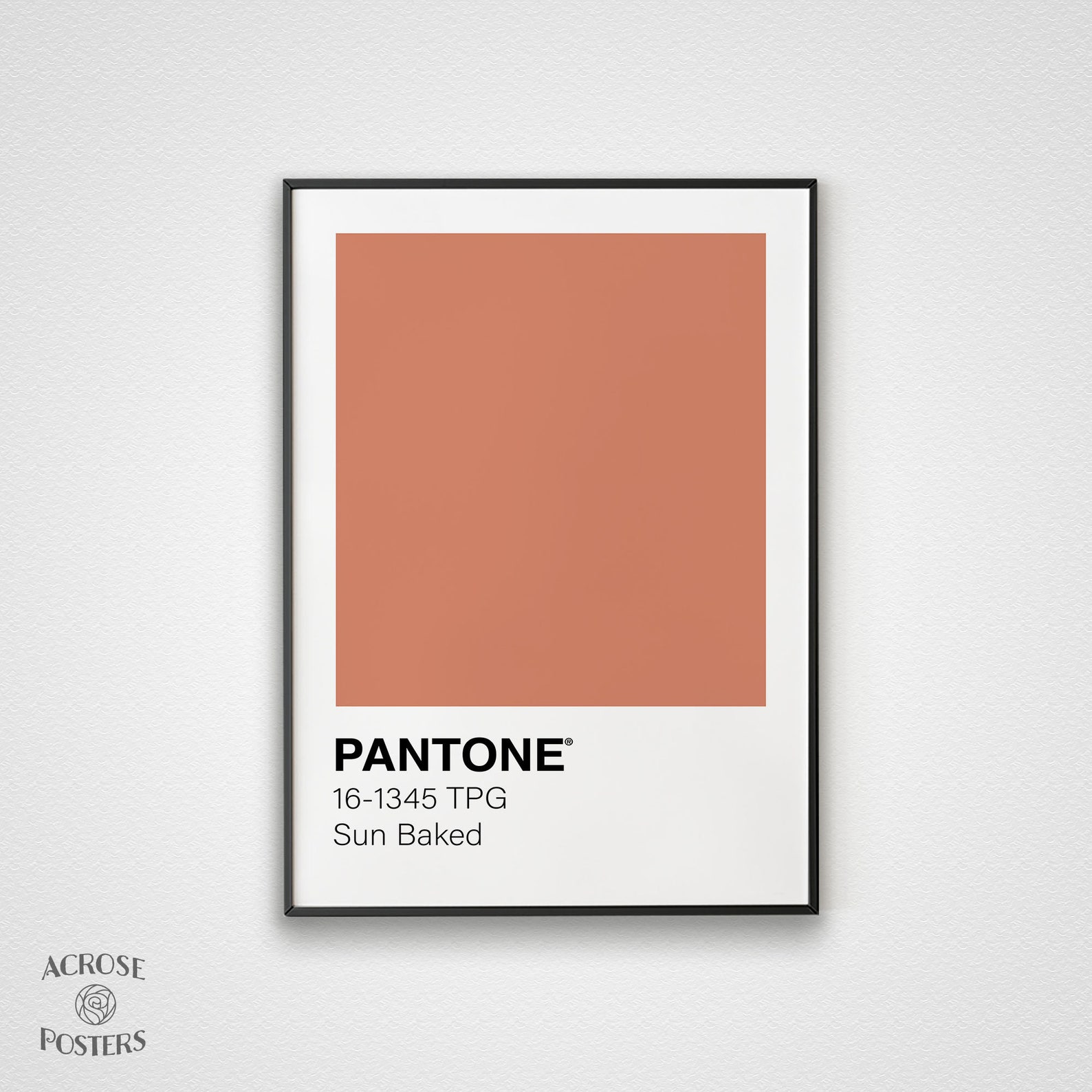 Pantone Poster 16-1345 TPG Sun Baked Pantone Color Card | Etsy