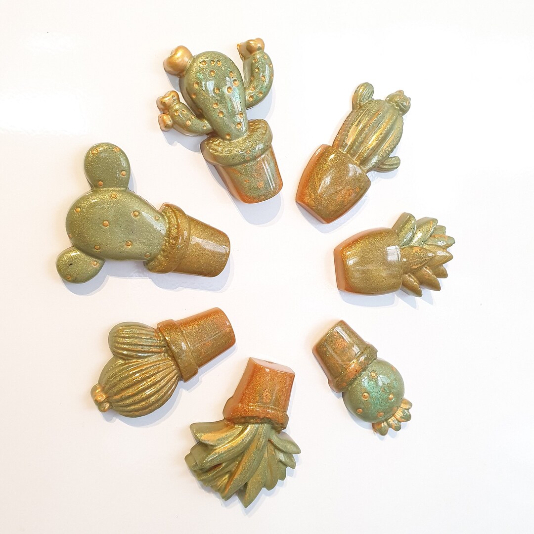 Buy Handmade Cactus Resin Magnets, Succulent Magnets, Cactus Party ...
