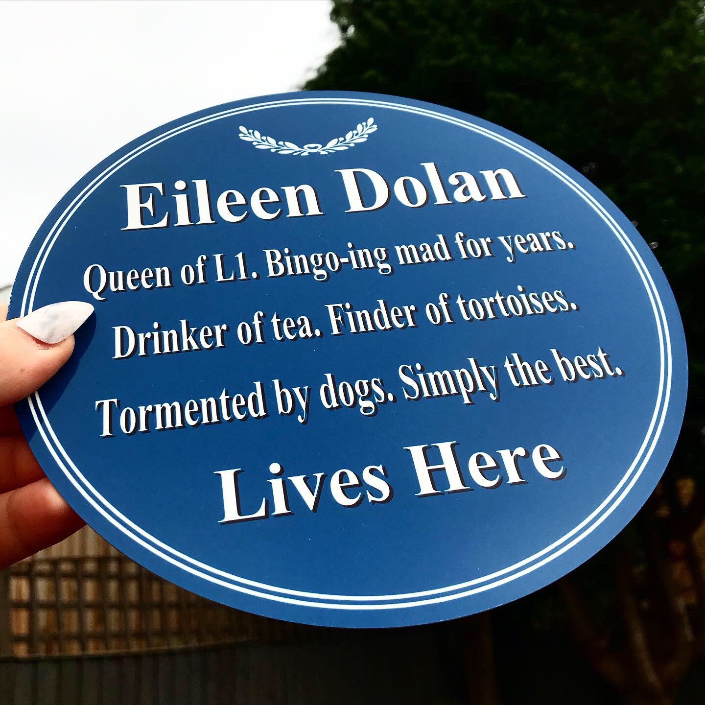 Personalised Heritage Blue Plaque! Add Any Name and Any Text! Makes A ...