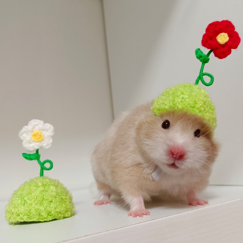 Hamster Clothes - Etsy
