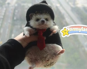 Hedgehog Clothes - Etsy