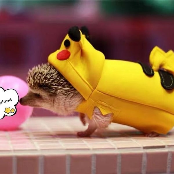 Hedgehog Costume - Etsy