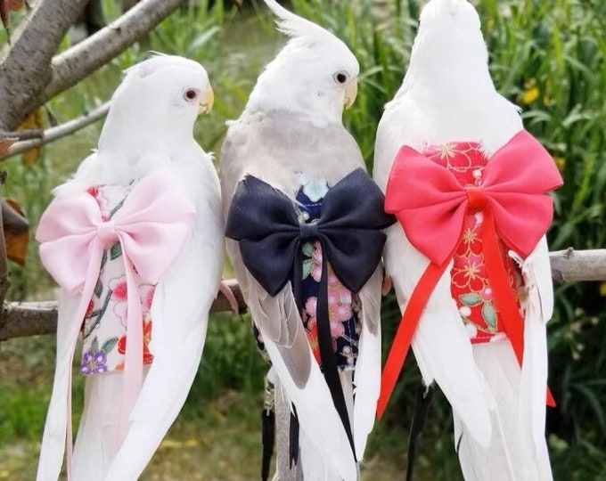Handmade Cockatoo Parrot Bird Clothes With Diaper Kimono-cockatoo - Etsy
