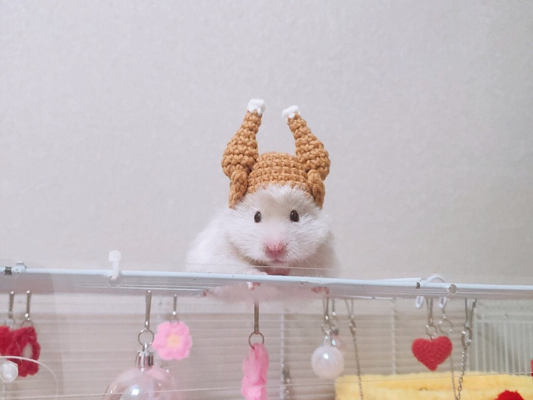 Turkey Thanksgiving Pet Hat-hedgehog/hamster/parrot/squirrel/guinea Pig ...