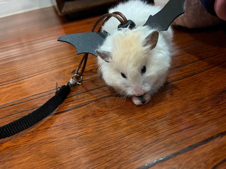 Bat Wings Harness Pet Leash Collar Set Gifts-syrain - Etsy
