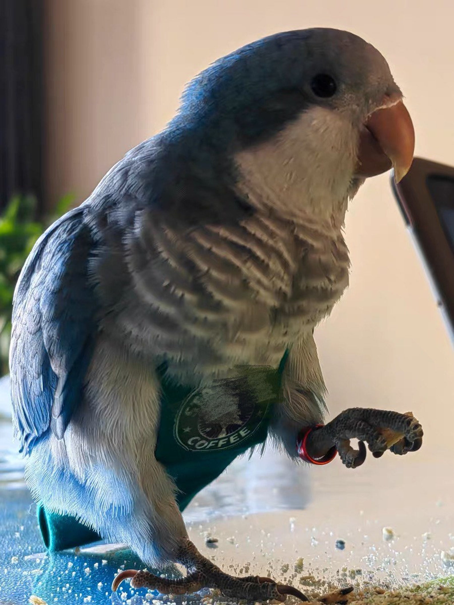Handmade Parrot Bird Clothes With Diaper Unofficial Logo Coffee Lover ...