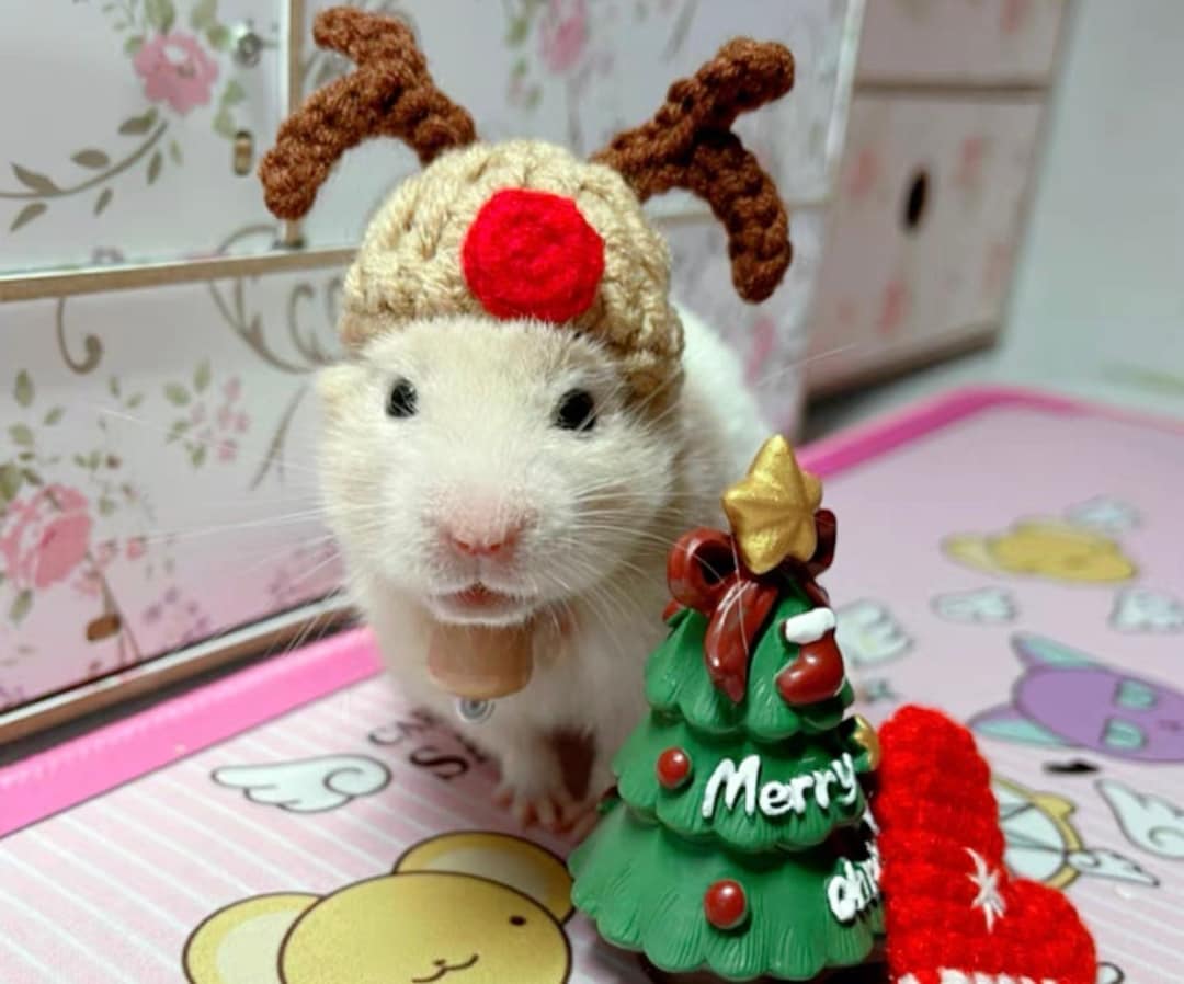 Christmas Reindeer Pet Hat Gifts-hedgehog/hamster/squirrel/guineapig ...