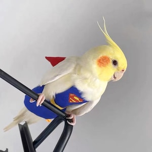 Handmade Parrot Bird Hero Clothes With Diaper-quakers/cockatiel/african ...