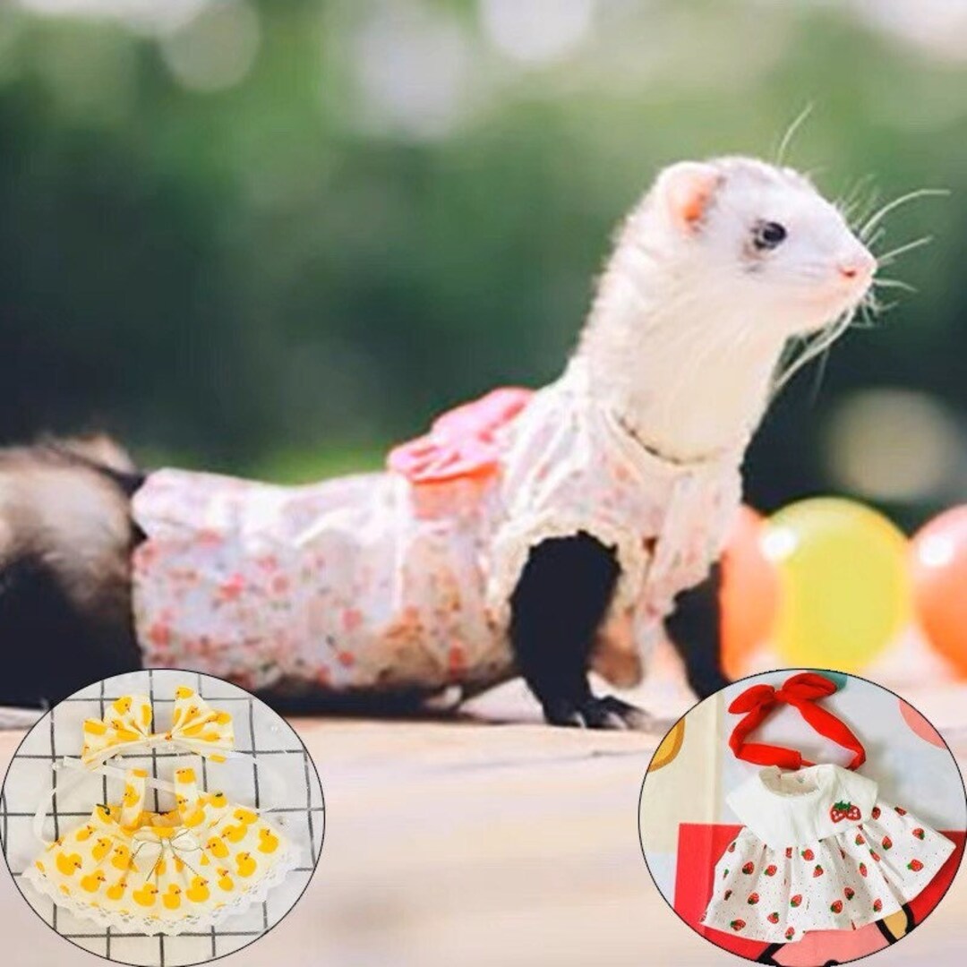 Handmade Ferret/chinchilla/hedgehog/rabbit/squirrel Clothes - Etsy
