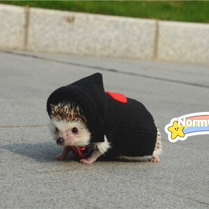 Handmade Suit Pet Clothes Best for Hedgehog - Etsy