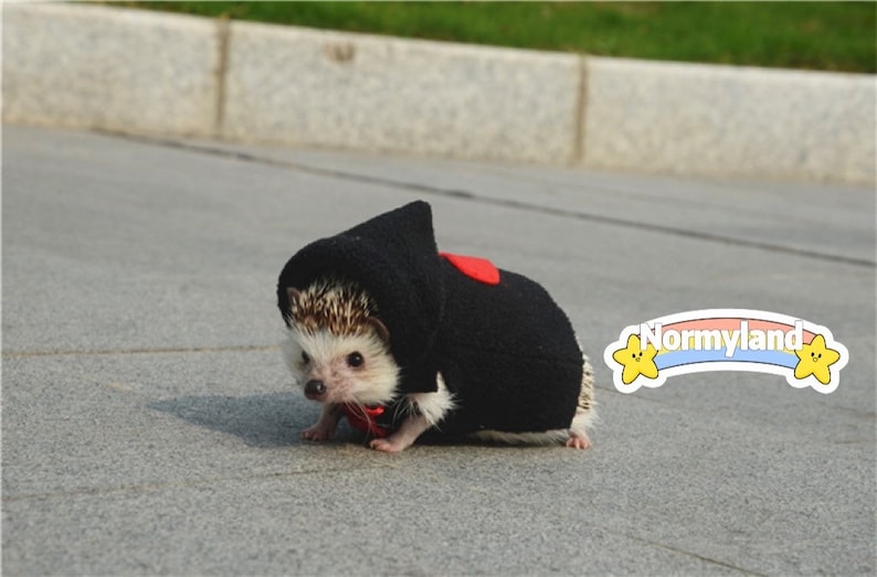 Handmade Suit Pet Clothes Best for Hedgehog - Etsy