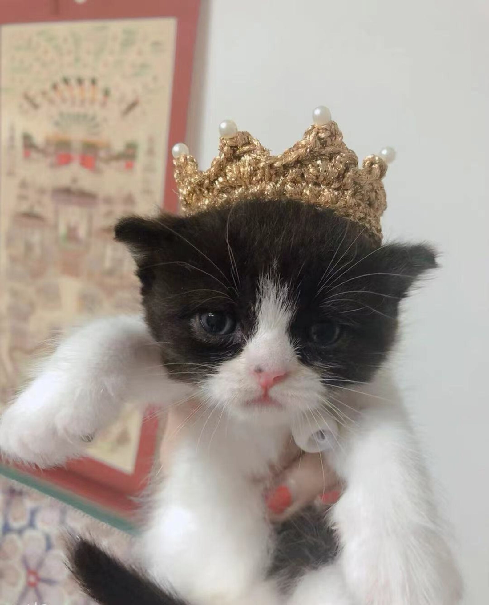 King Golden Crown Pet Hat - Etsy