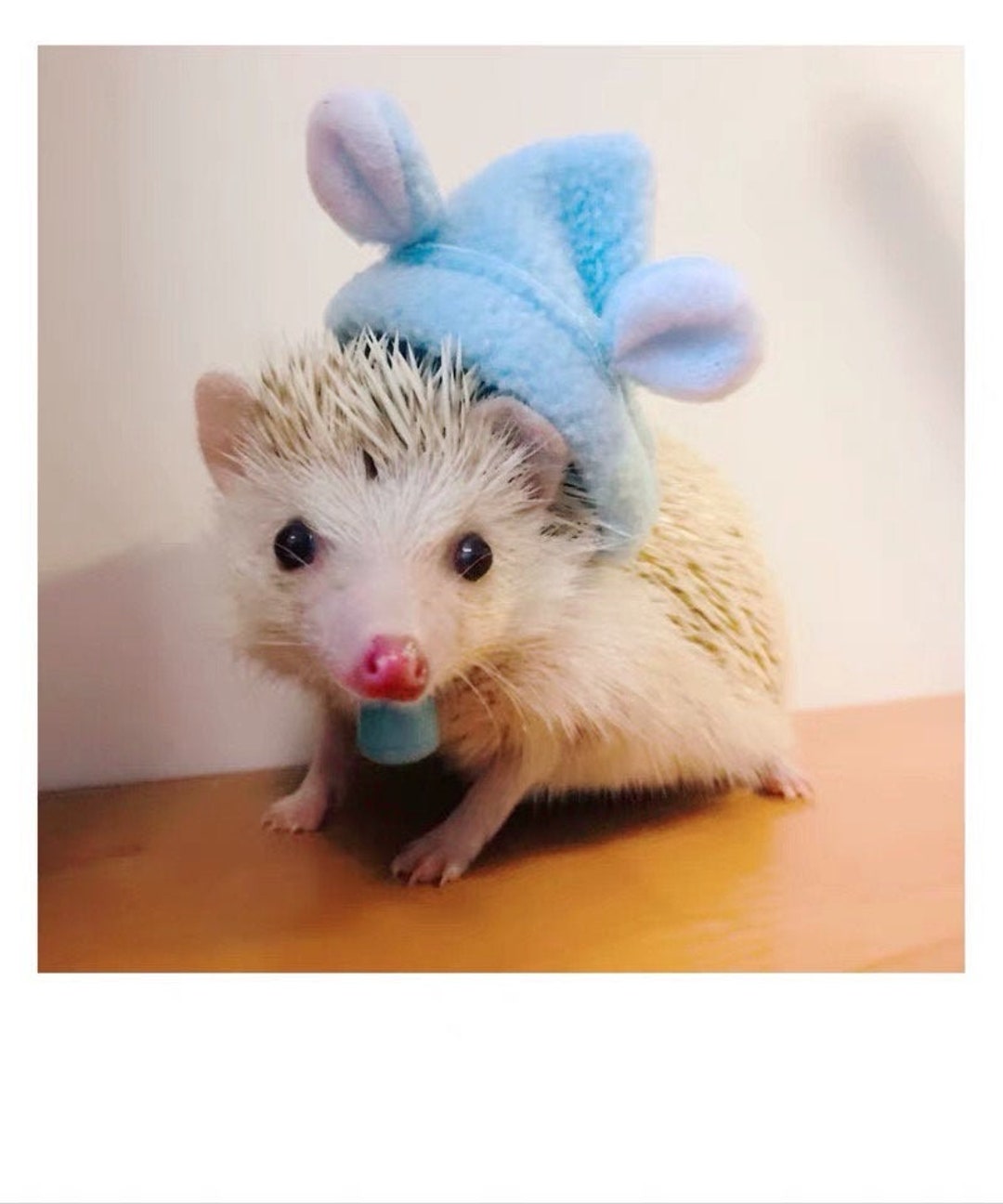 Mouse Pet Hat Gifts Small Animals Hat - Best for Hedgehog/hamster ...