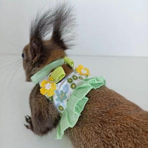 Pet Yellow/green Skirt/clothes Harness and Leash Set Best for Ferret ...